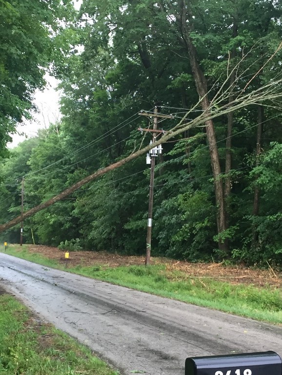 Vegetation Management – Consolidated Cooperative